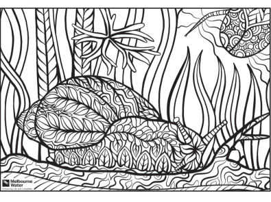 Mindful colouring sheets | Melbourne Water