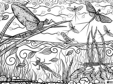 Mindful colouring sheets | Melbourne Water