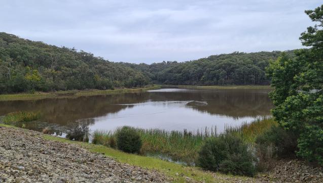 Licences and permits | Melbourne Water